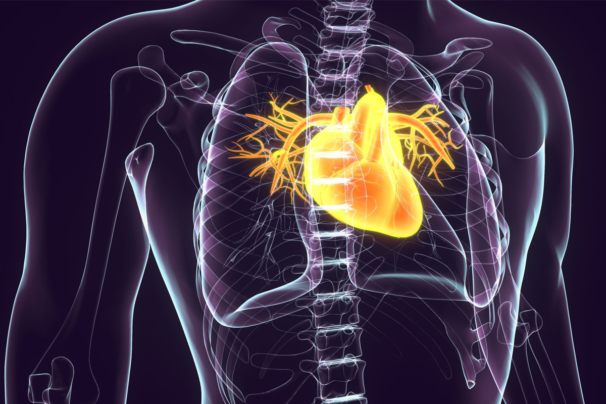 Washington University School of Medicine Among Sites of new HFpEF Study ...