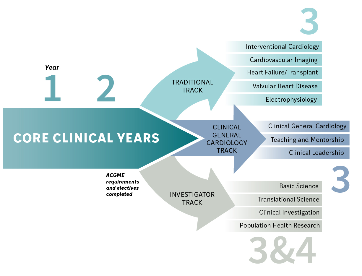 Cardiovascular Diseases Fellowship - Cardiovascular Division
