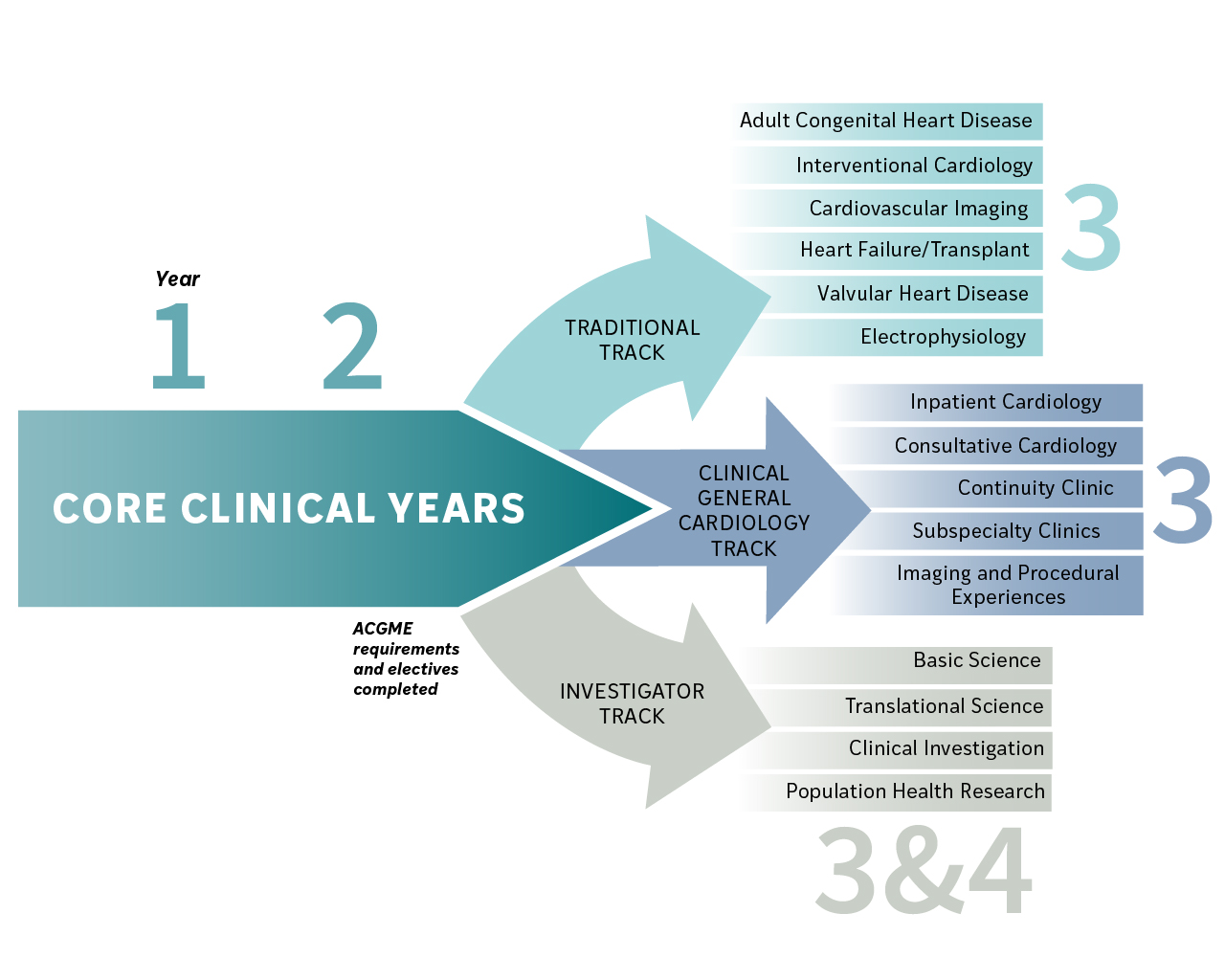 Cardiovascular Diseases Fellowship Cardiovascular Division