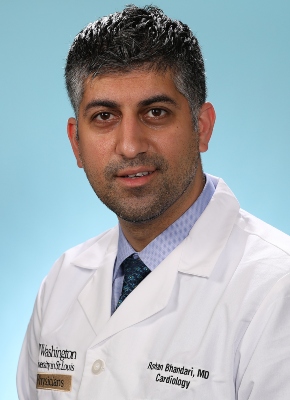Our Fellows - Cardiovascular Division